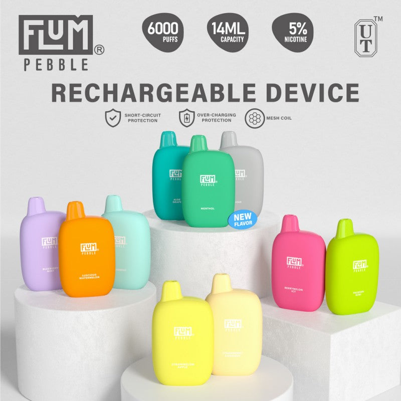 FLUM PEBBLE DISPOSABLE - 6K PUFFS – My Store